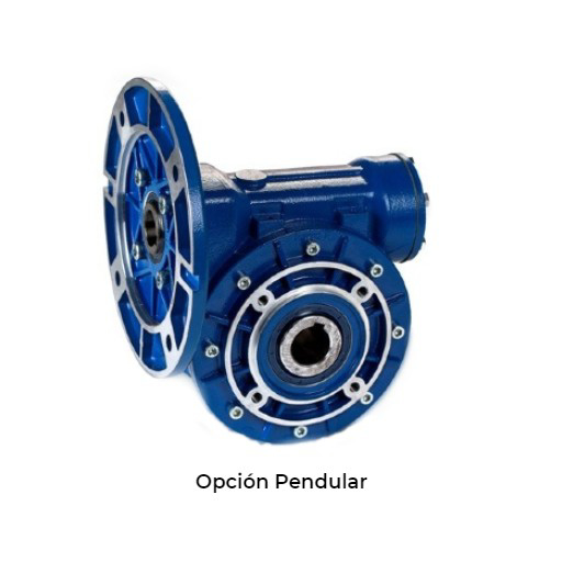 Reductor de velocidad Sin Fin y Corona RMI 50 1/100 63 | IndustryStore ...