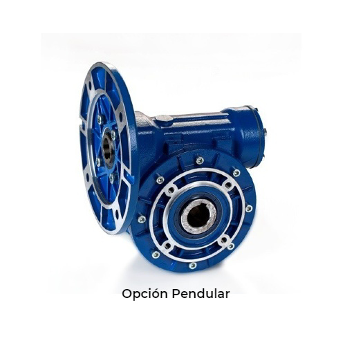 Reductor de velocidad Sin Fin y Corona RMI 28 1/100 56 | IndustryStore.com.ar